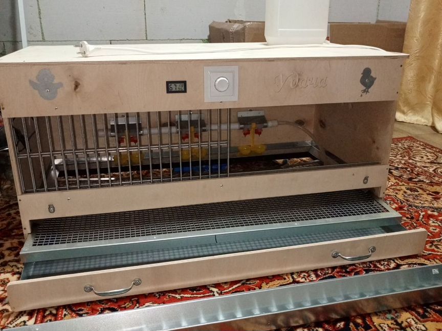 Брудер для цыплят