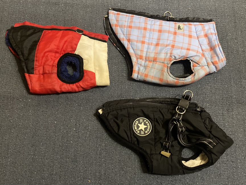 Костюмчики для собаки с неработающей молнией