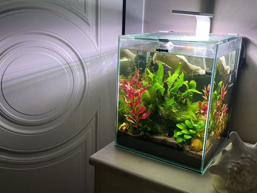 Аквариум aquael 40 л. cube