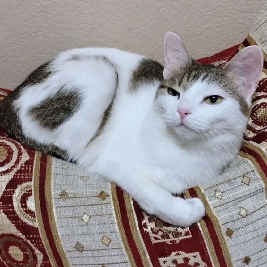 Хочу домой