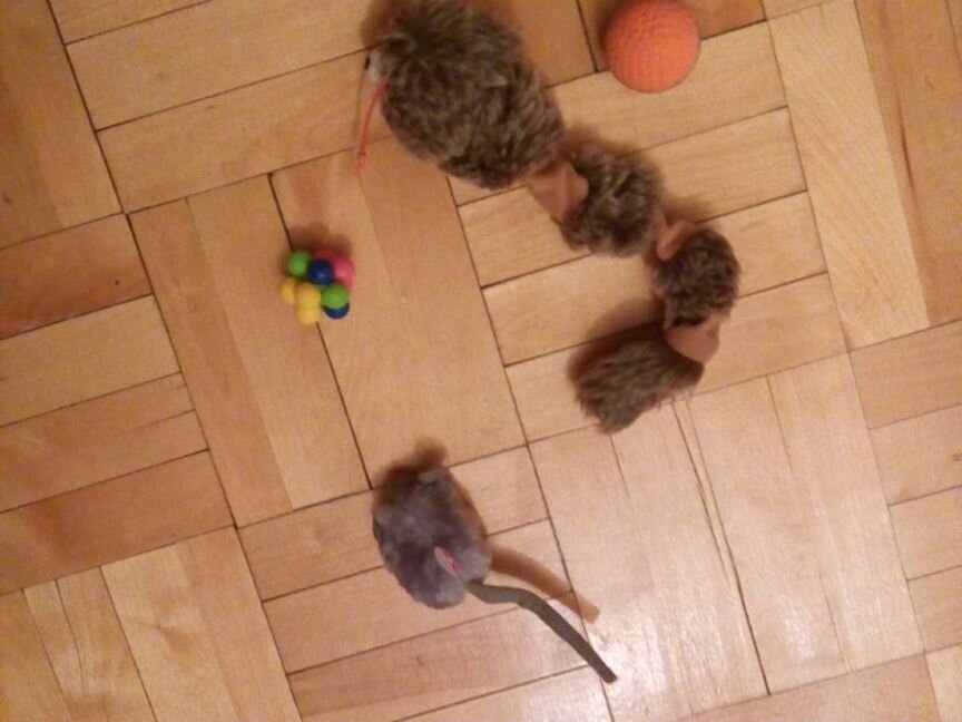 Игрушки для кошек