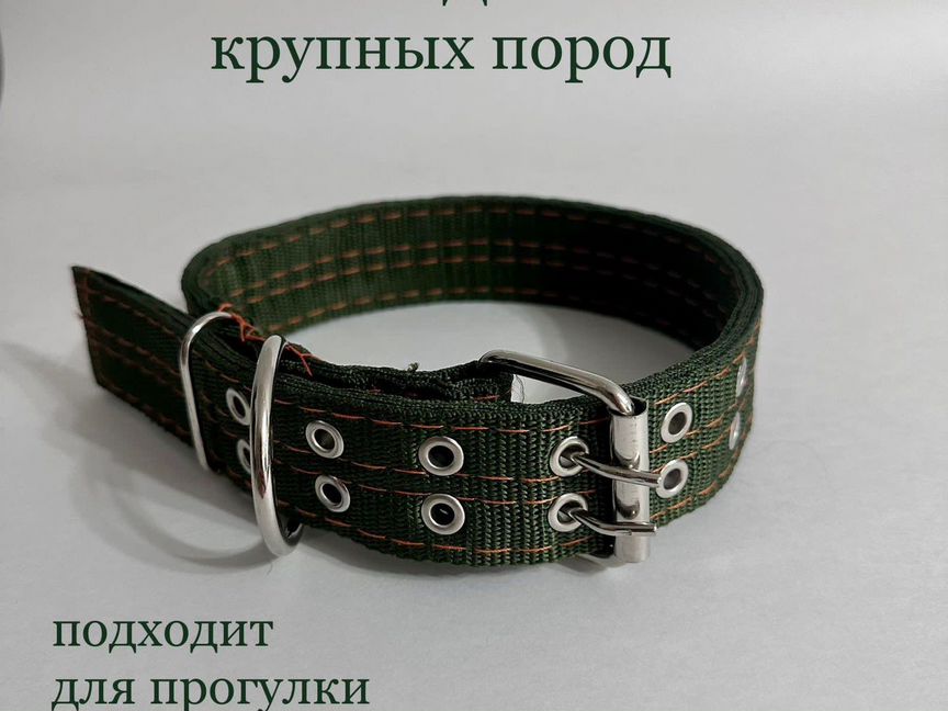 Ошейник для собак