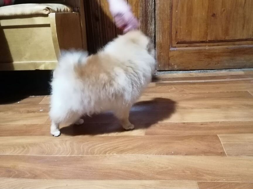 Супер пацан