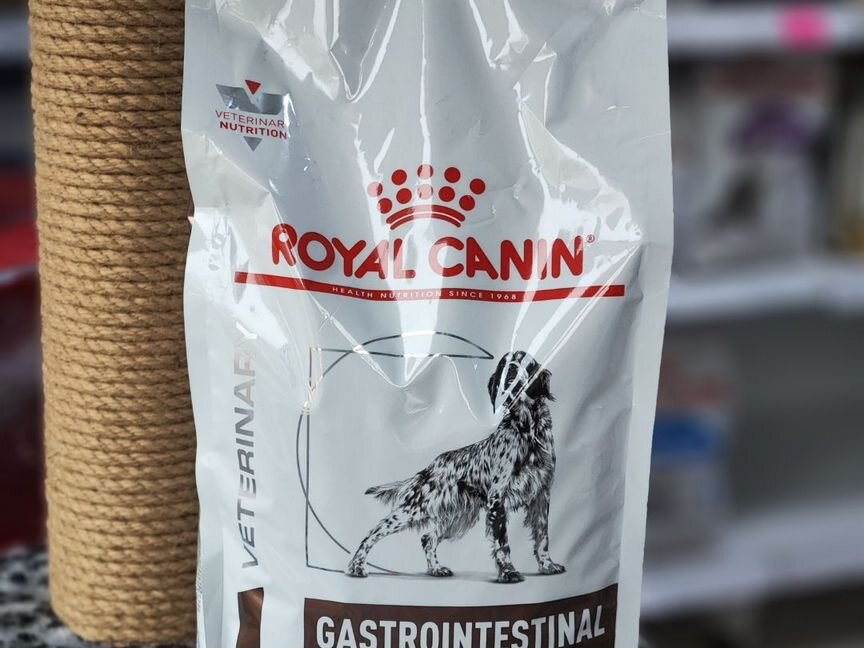 Корм для собак royal canin гастро