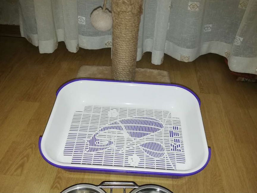 Принадлежности для котенка