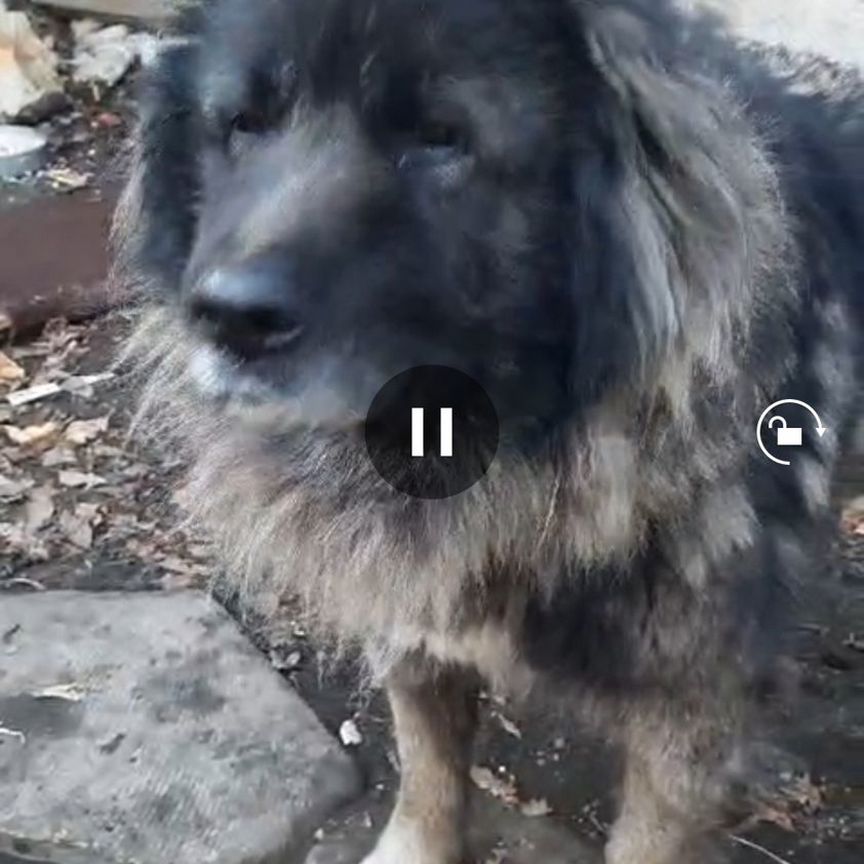 Гром ищет дом