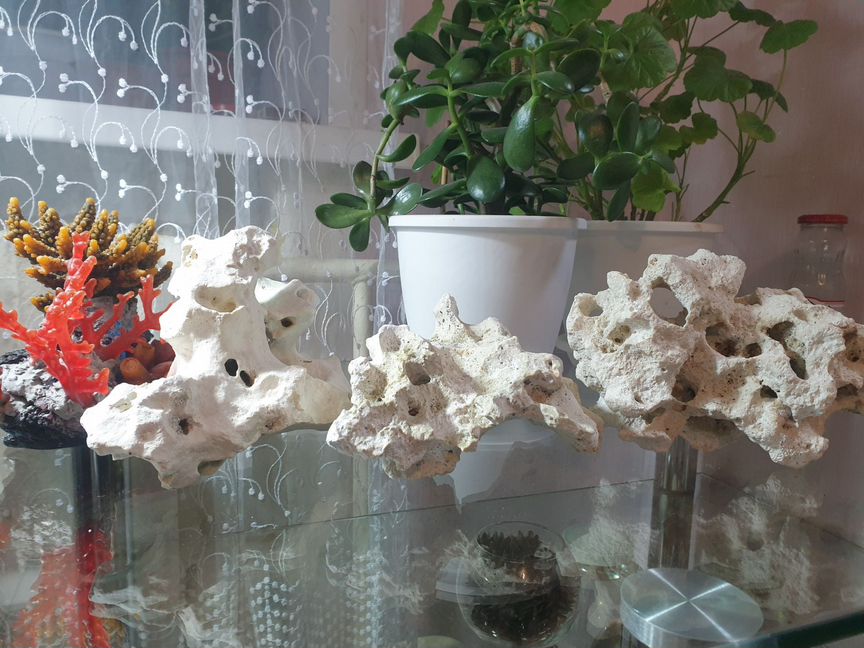 Аксессуары для аквариума