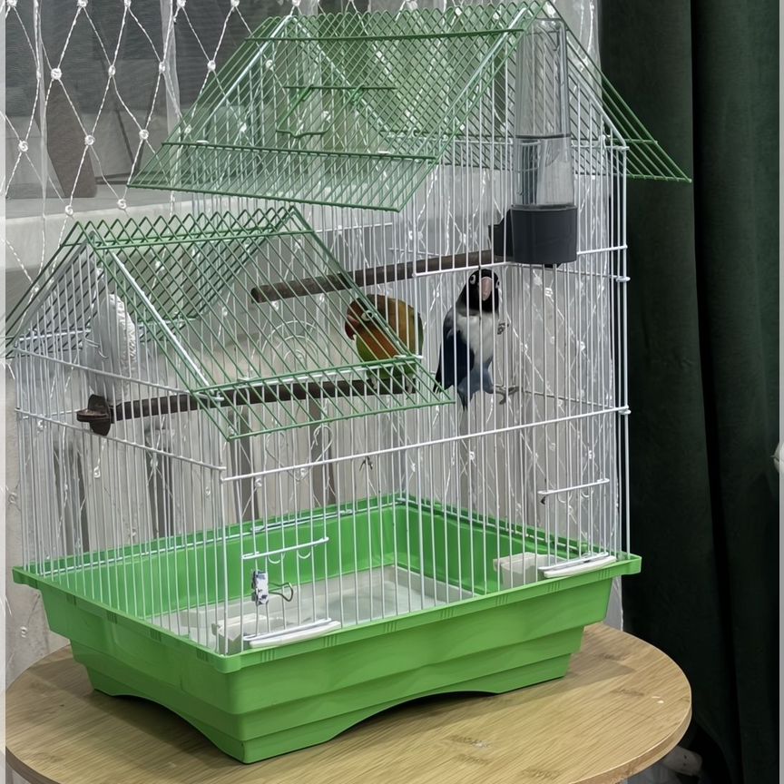 Попугай неразлучники с клеткой