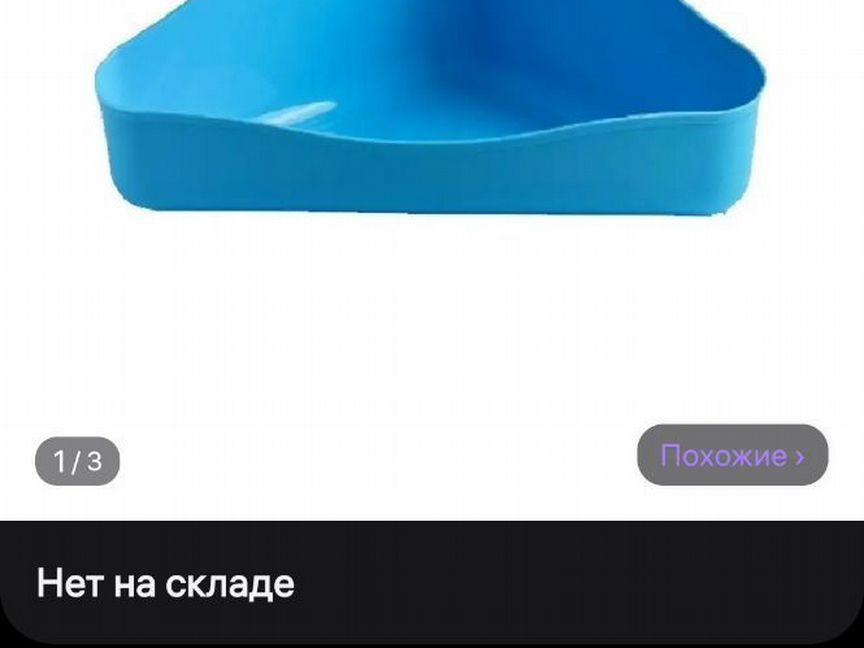 Домашние животные грызуны