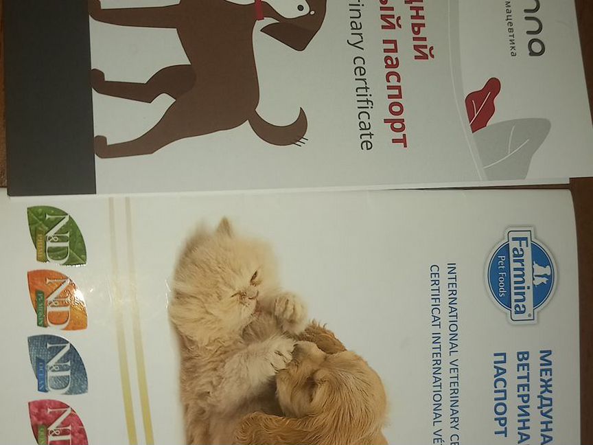 Ветеринарный паспорт новый