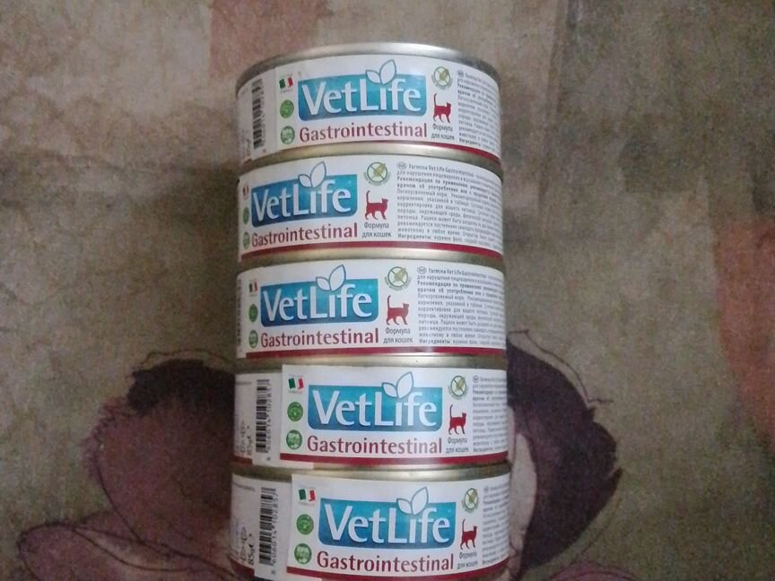 Корм для кошек. Гастро