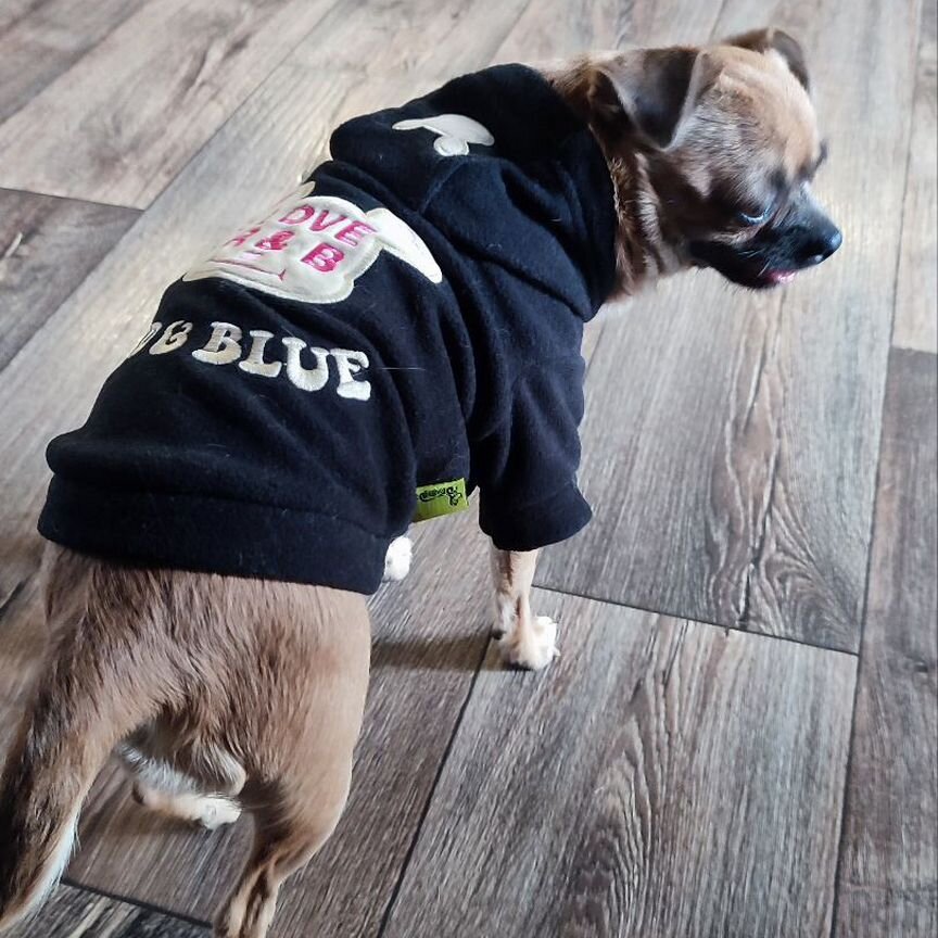 Одежда для собак и кошек