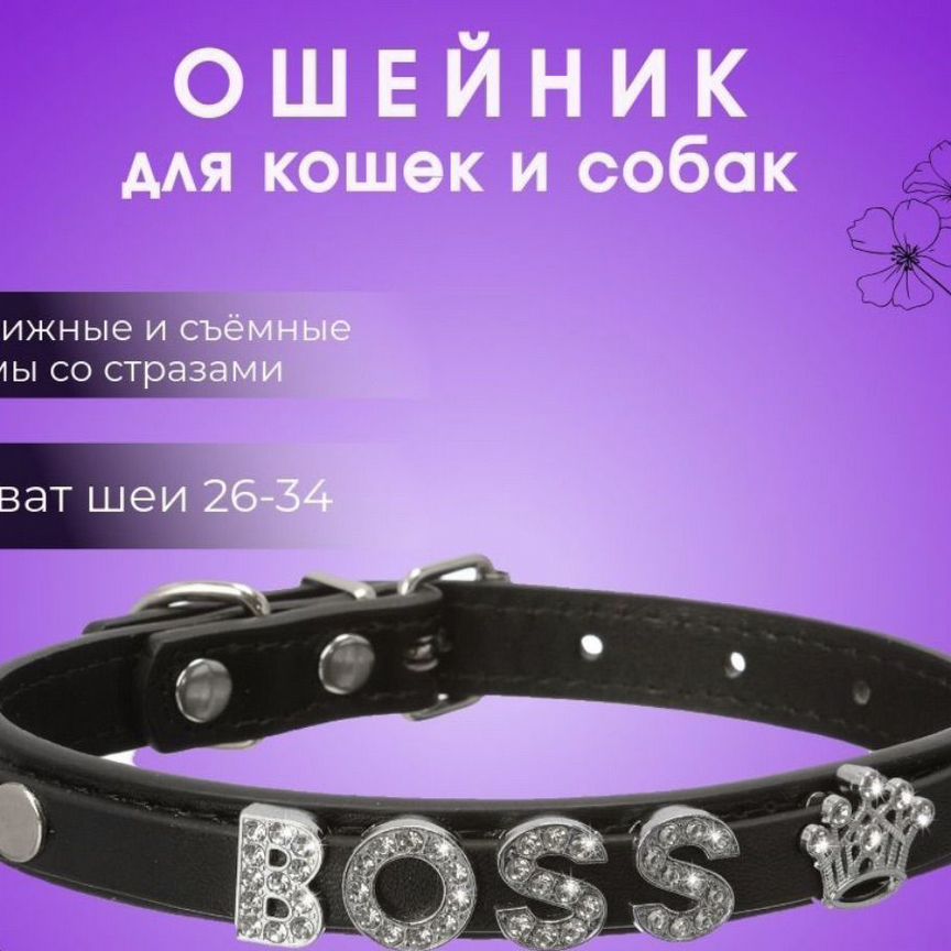 Ошейники для Яны