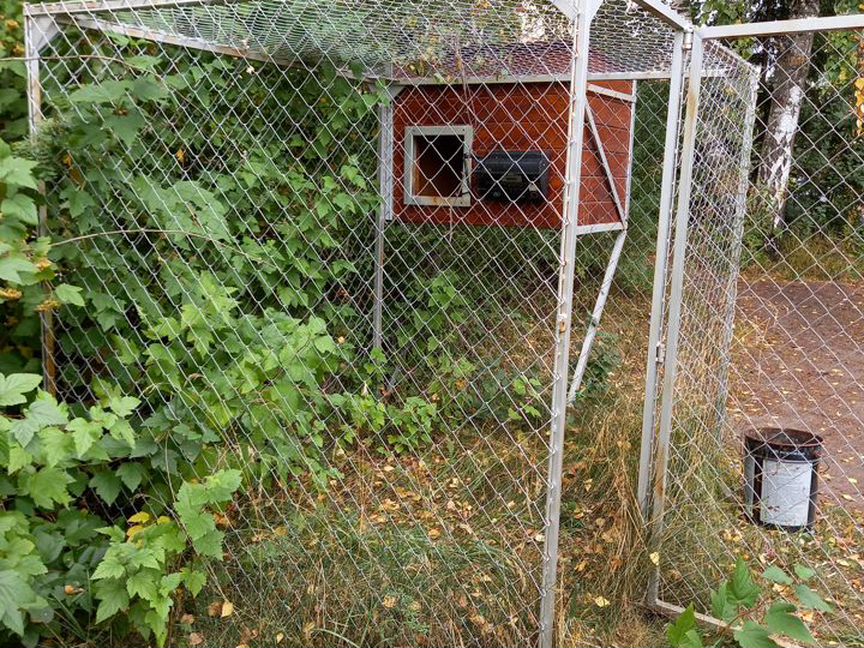 Вальеры для животных