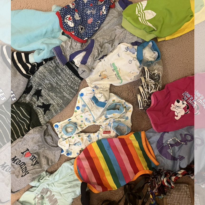 Пакет с вещами на собачку