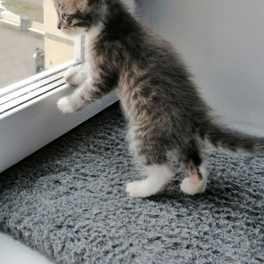 Чудо девочка в белых носочках