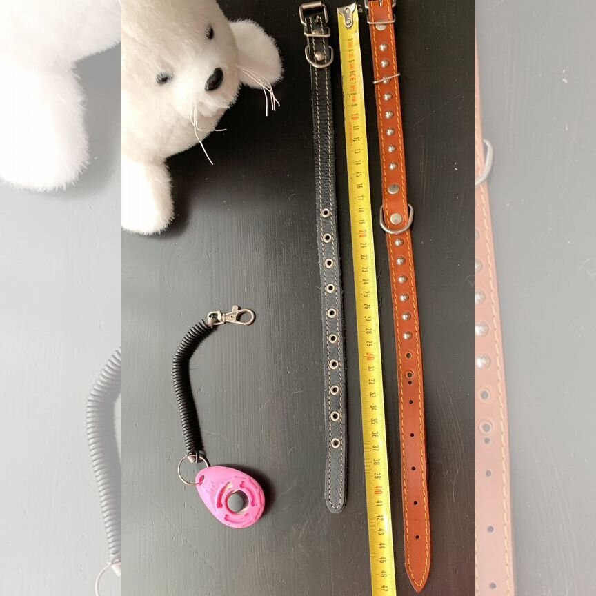 Ошейник натуральная кожа