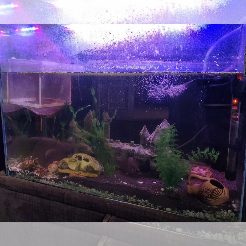 Большой аквариум