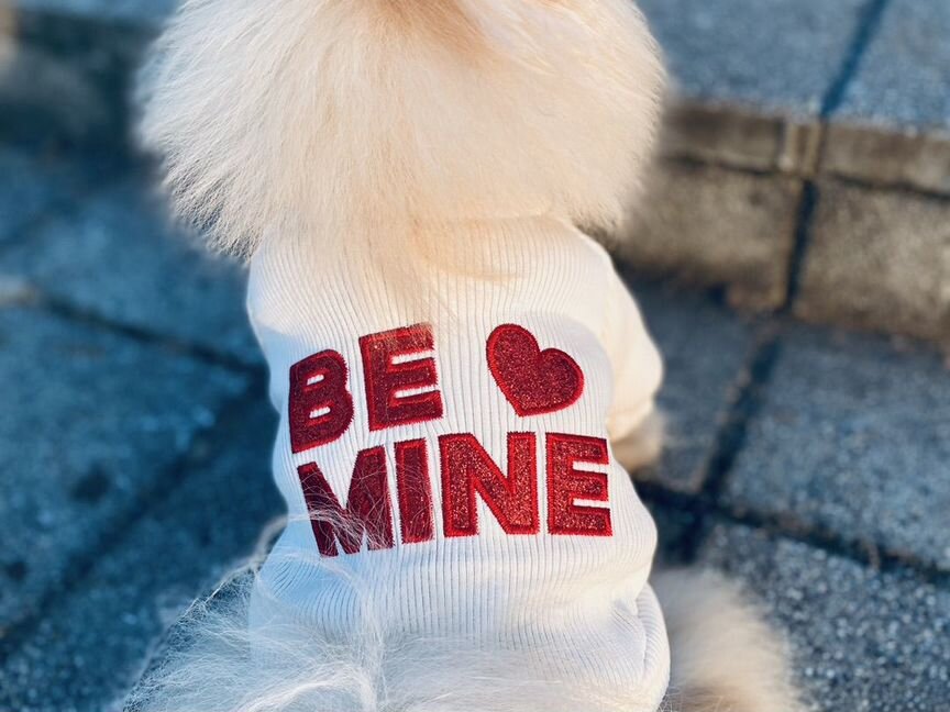 Одежда для собак - Кофточка BE love mine