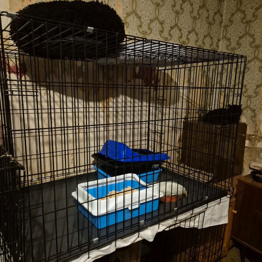 Клетка для собак №6 120x70x75 см чёрная