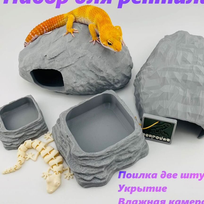 Набор для рептилий. Серый