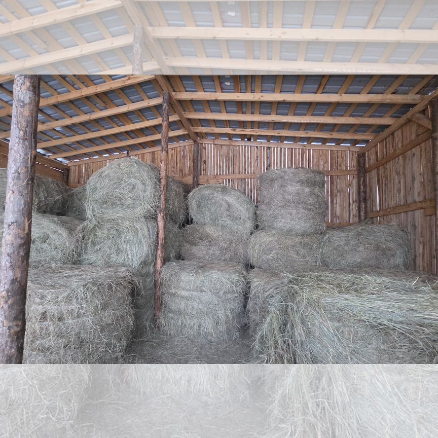 Продам сено в рулонах