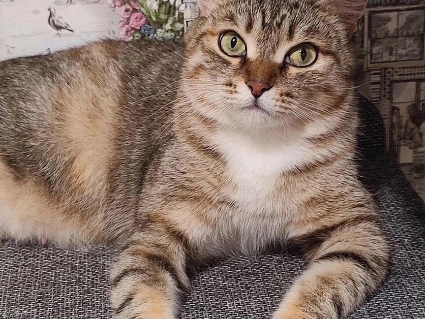 Приютите сироту