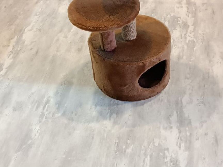 Кошачьи когтеточки