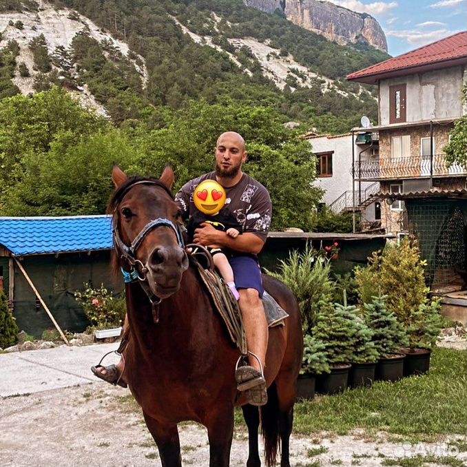 Продам лошадей табун