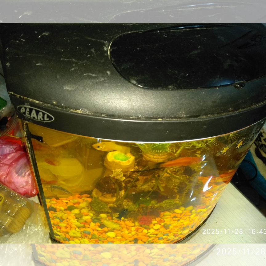 Аквариум вместе с рыбками