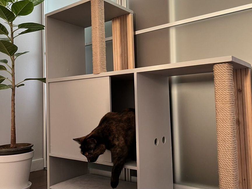 Кошачий домик б/у