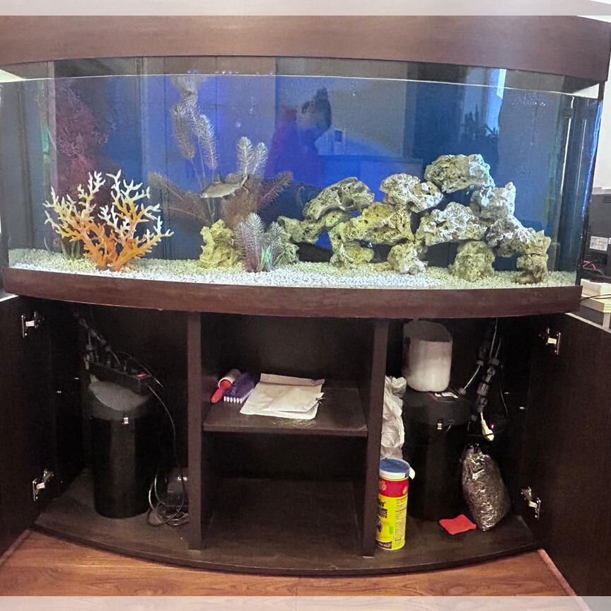 Аквариум с тумбой и рыбками, 400 л