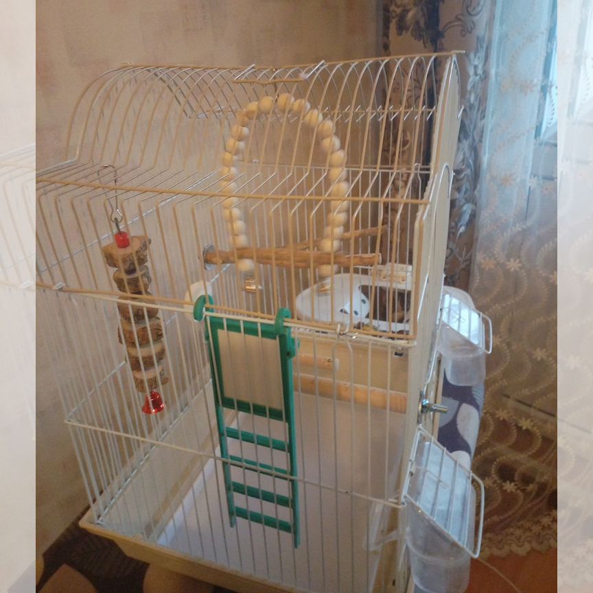 Клетка для попугая