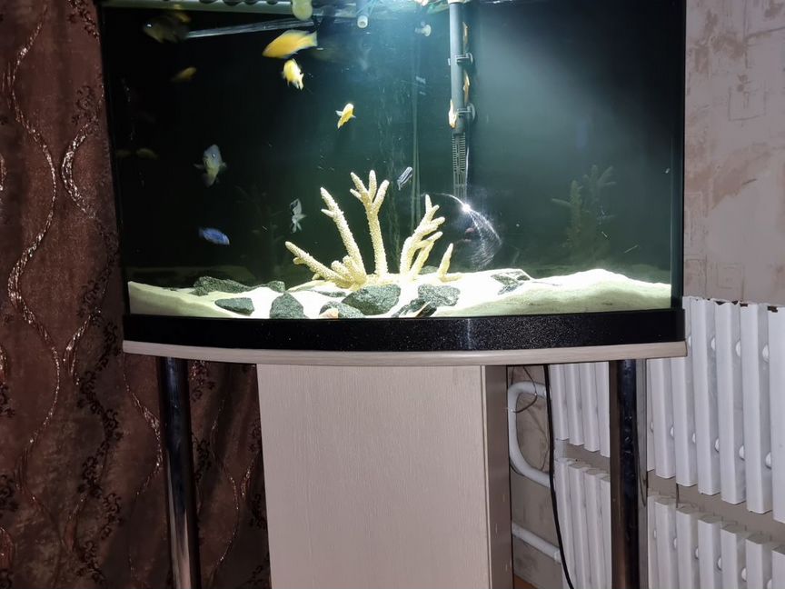 Аквариум угловой с тумбой