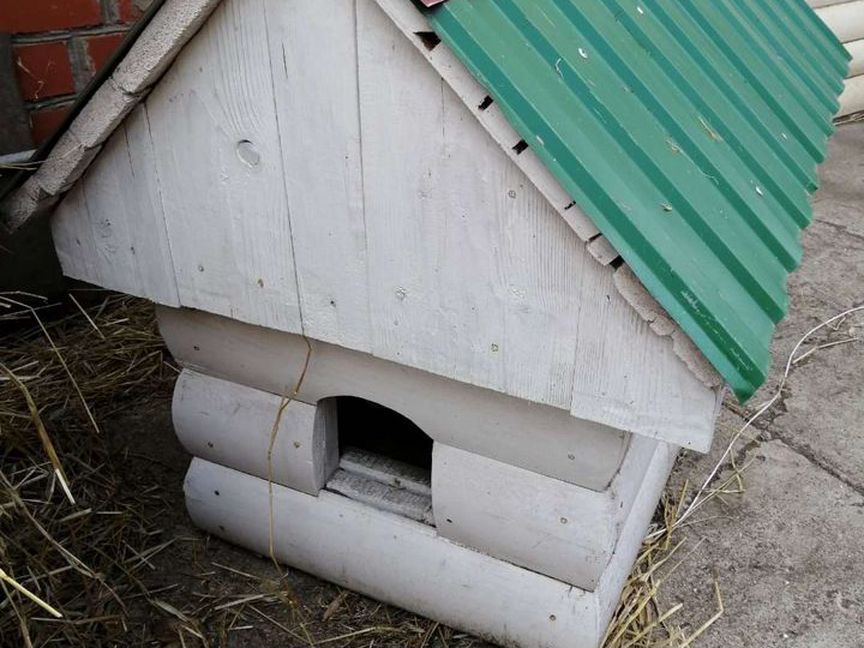 Собачья будка