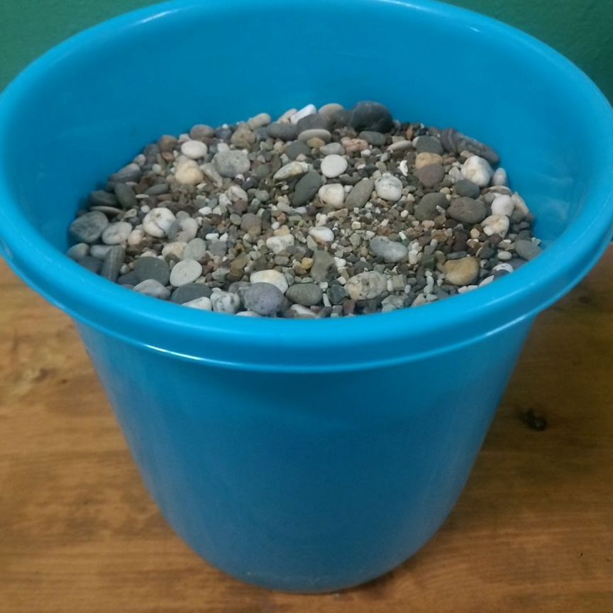 Камушки в аквариум