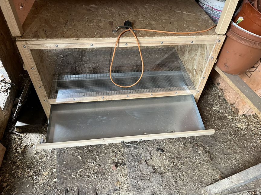 Брудер для цыплят