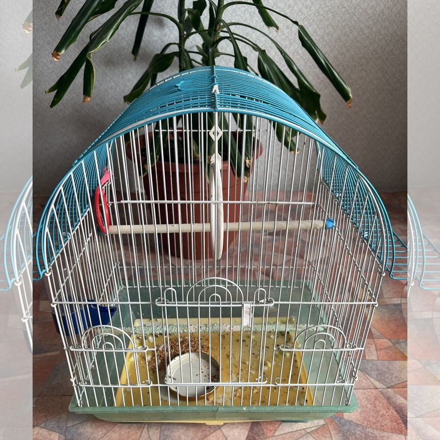 Клетка для попугая бу