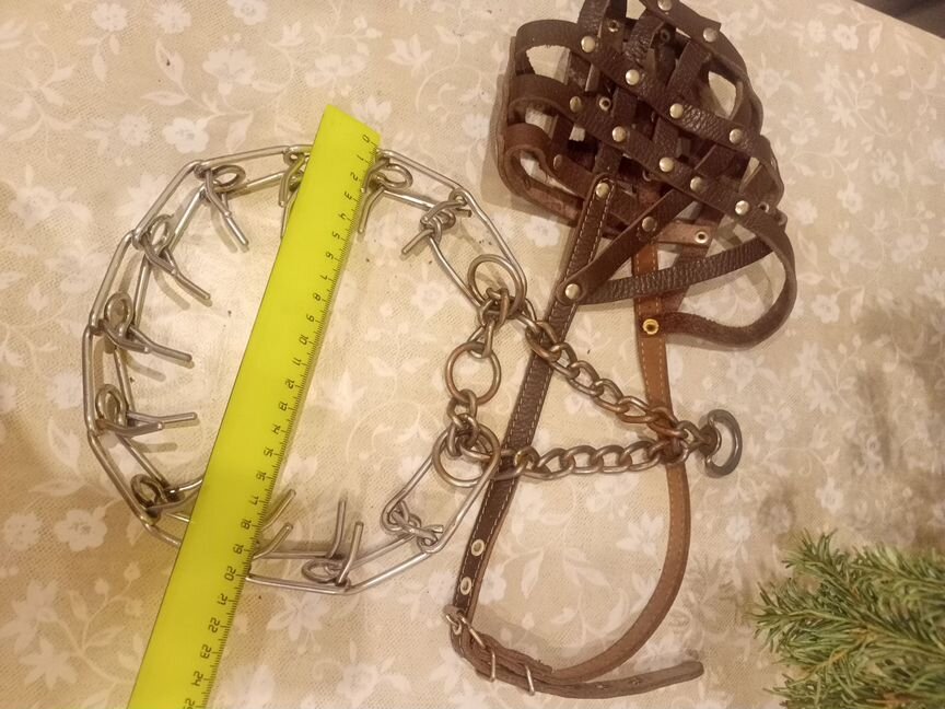 Строгий ошейник и намордник для крупных собак