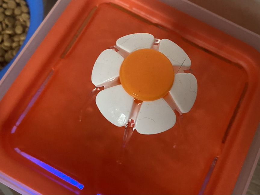 Фонтанчик для кошек