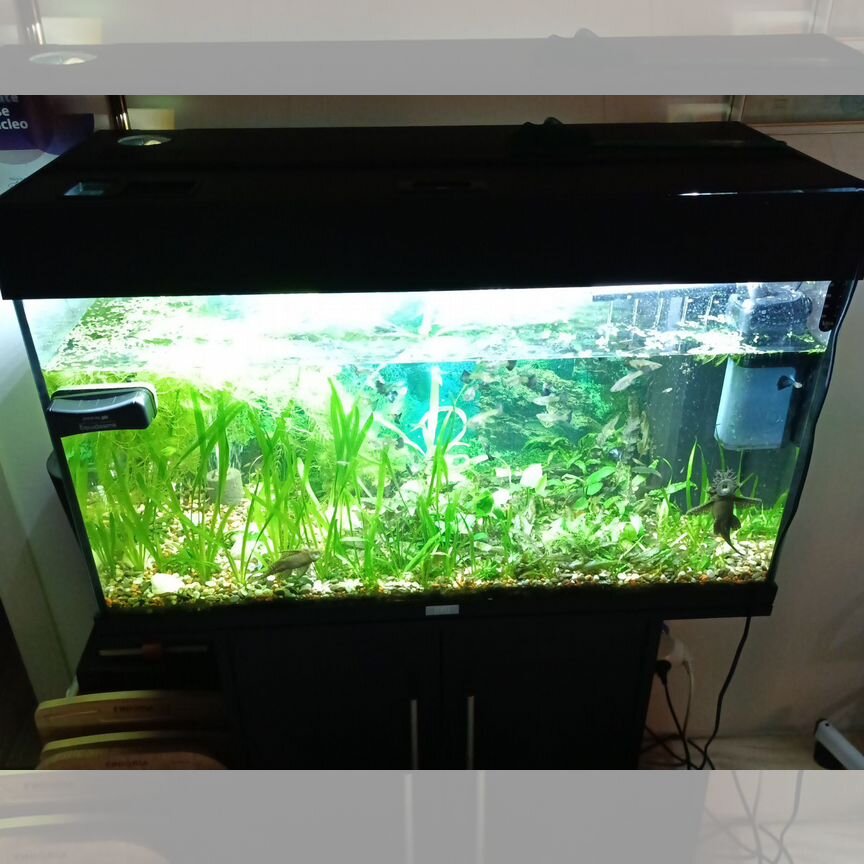 Аквариум 120 на литров с тумбой и с фильтрами