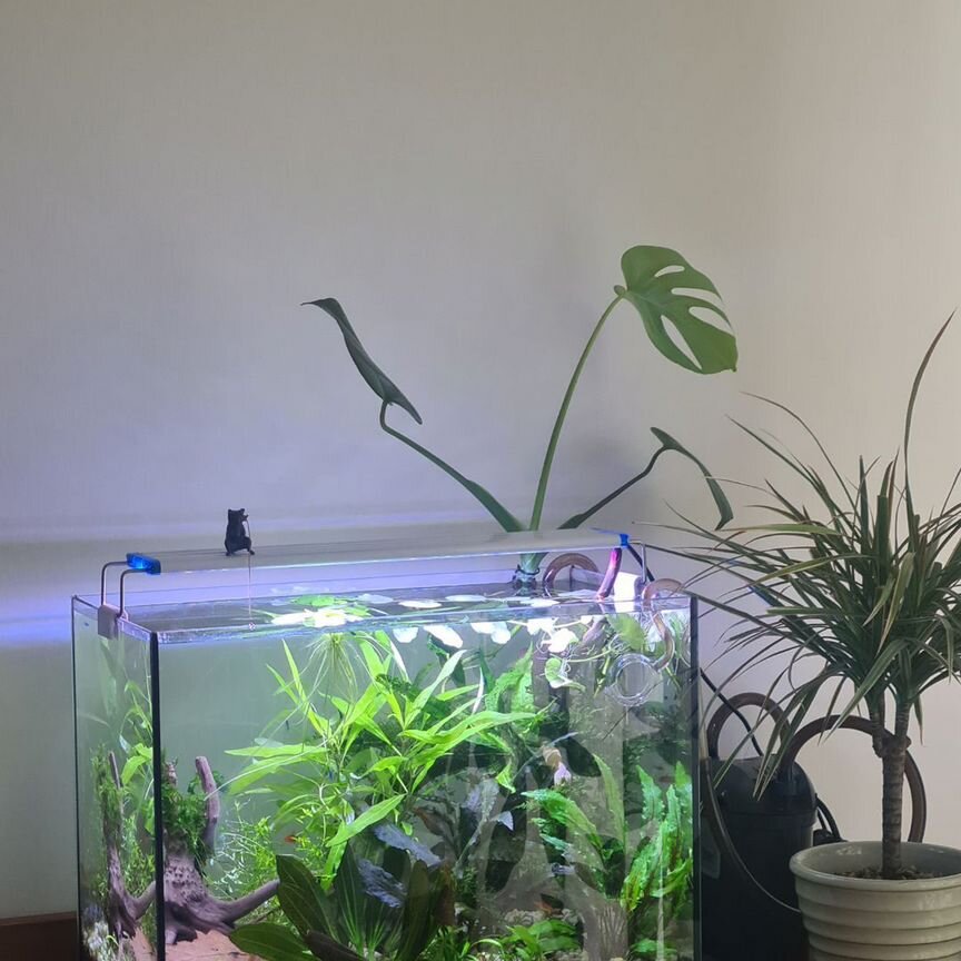 Аквариум 30л