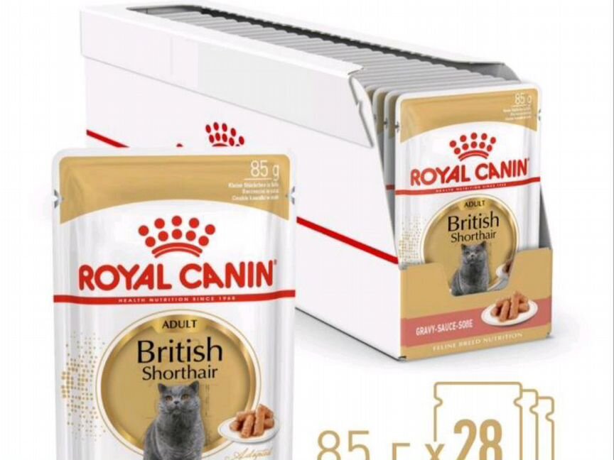 Влажный корм для кошек royal canin
