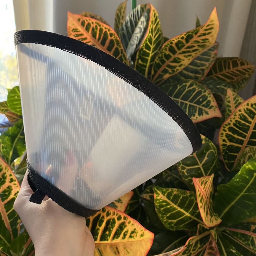 Воротник для кота