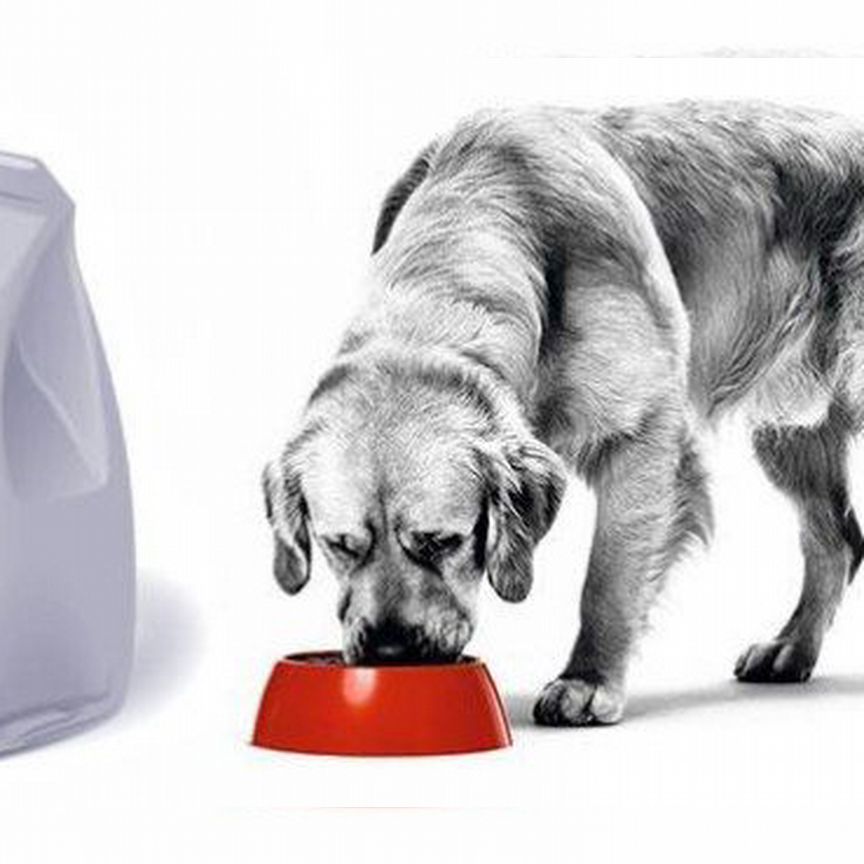 Стм корм для собак производство