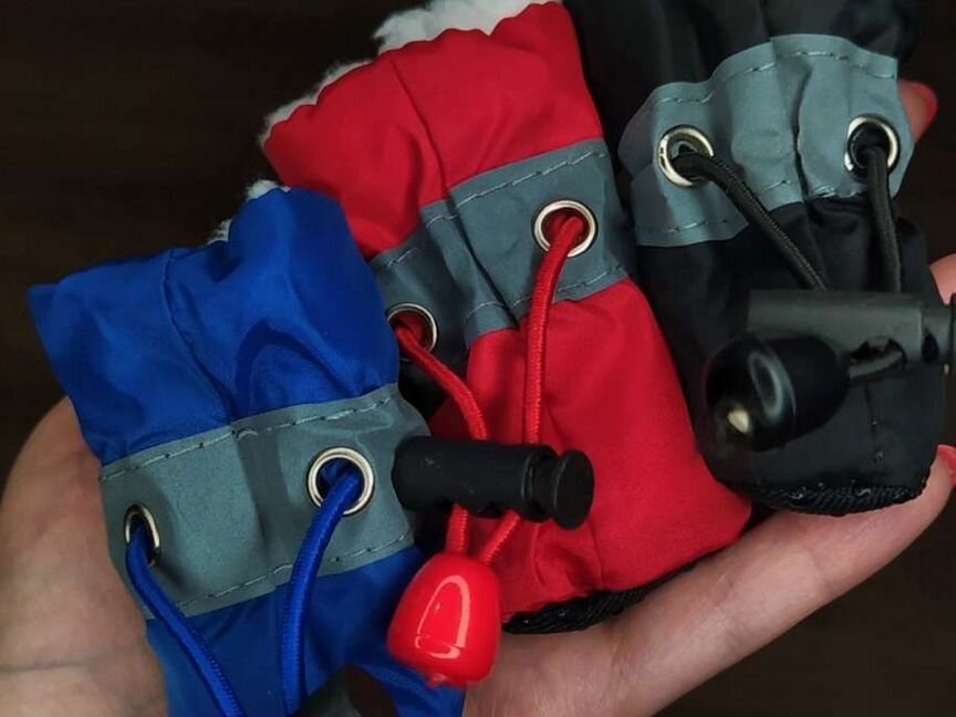 Обувь для собак