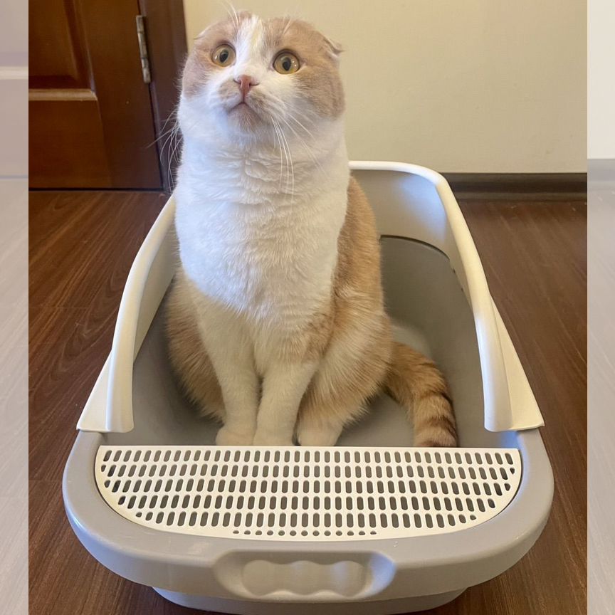 Большой лоток со ступенькой