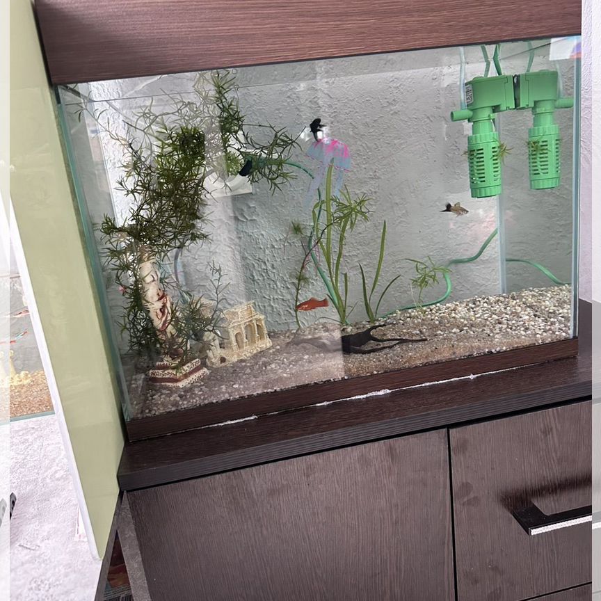 Аквариум 30 литров с крышкой