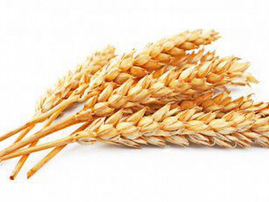 Пшеница, отруби, овёс ячмень дробленка