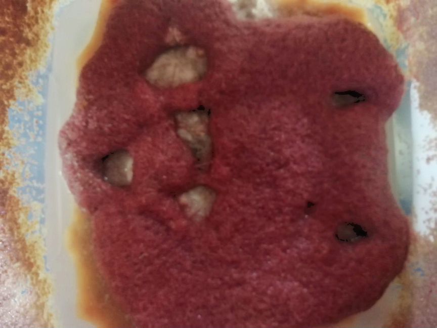 Трубочник Изя живой корм для аквариумных рыб